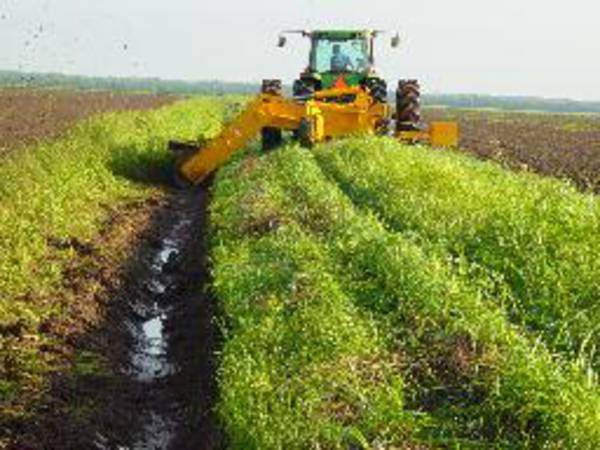 Hurricane Original Side-Arm Ditcher Side Arm Ditcher (1053827 ...