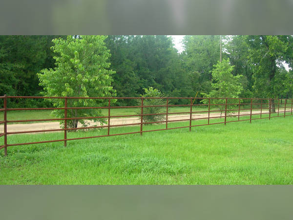 Bad Cattle Panels Everything (4863288) BAD CATTLE PANELS PAVO Georgia ...