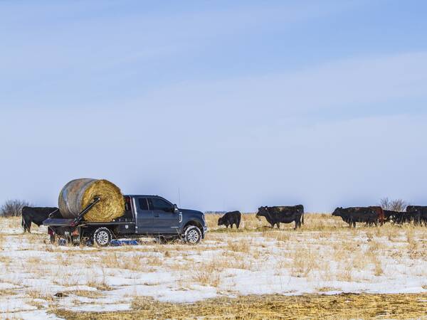Butler Arm Bed Bale Bed (10423774) DJ TRAILERS & TRUCK BEDS WAYNE ...